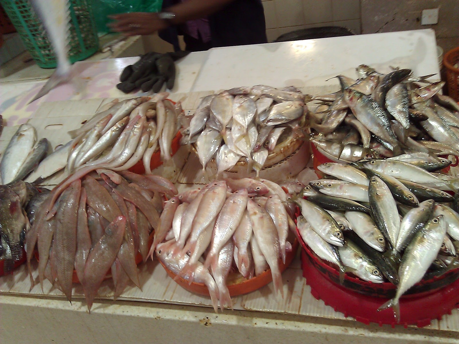 Fish Market in Souq Shark