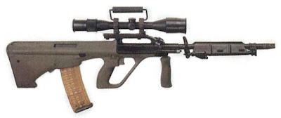 Damenizer: Steyr AUG