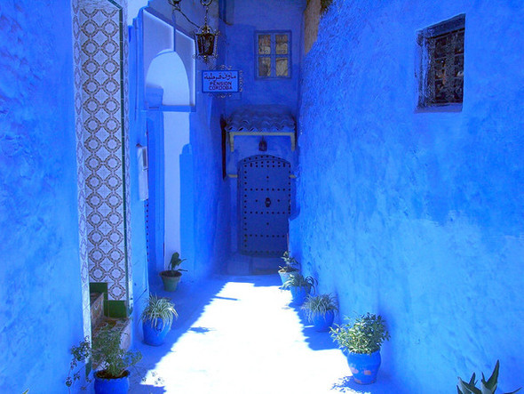 Beautiful World : Fresh Collection of Cool Pics