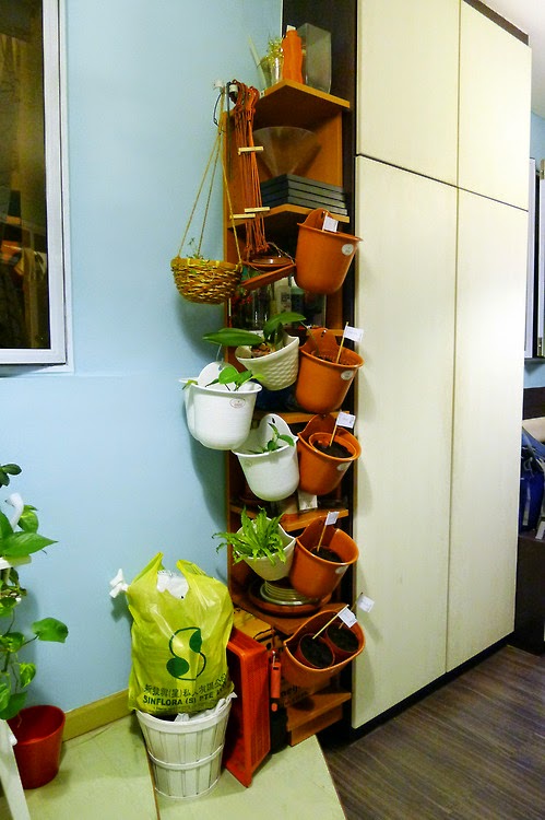 HDB DIY vertical vegetable garden (that's alot of Vs) | Philosophy in ...
