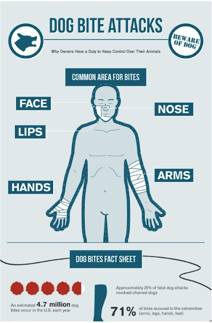 Dog Bites Victims – Things They Should Know - Stephanie Ovadia ...