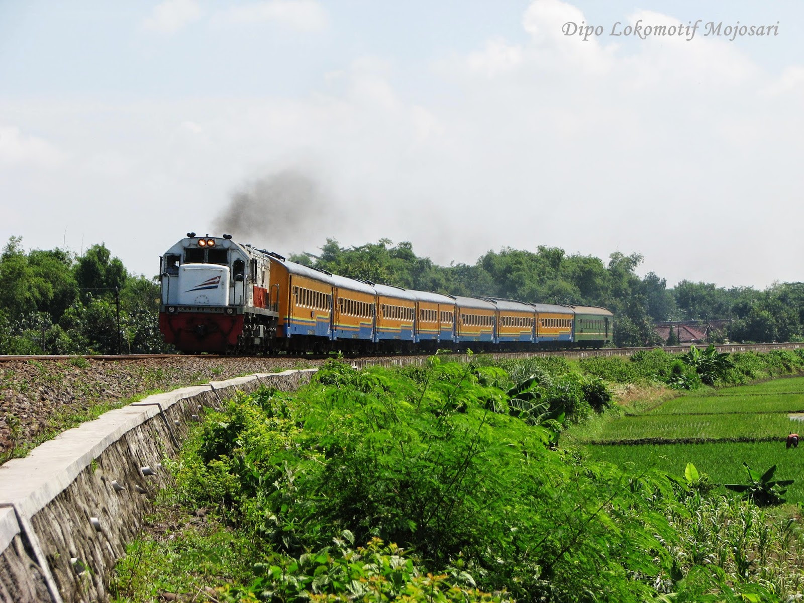 Kereta Api Indonesia: Inilah Pesona Keindahan KA Pasundan Saat Melintas ...