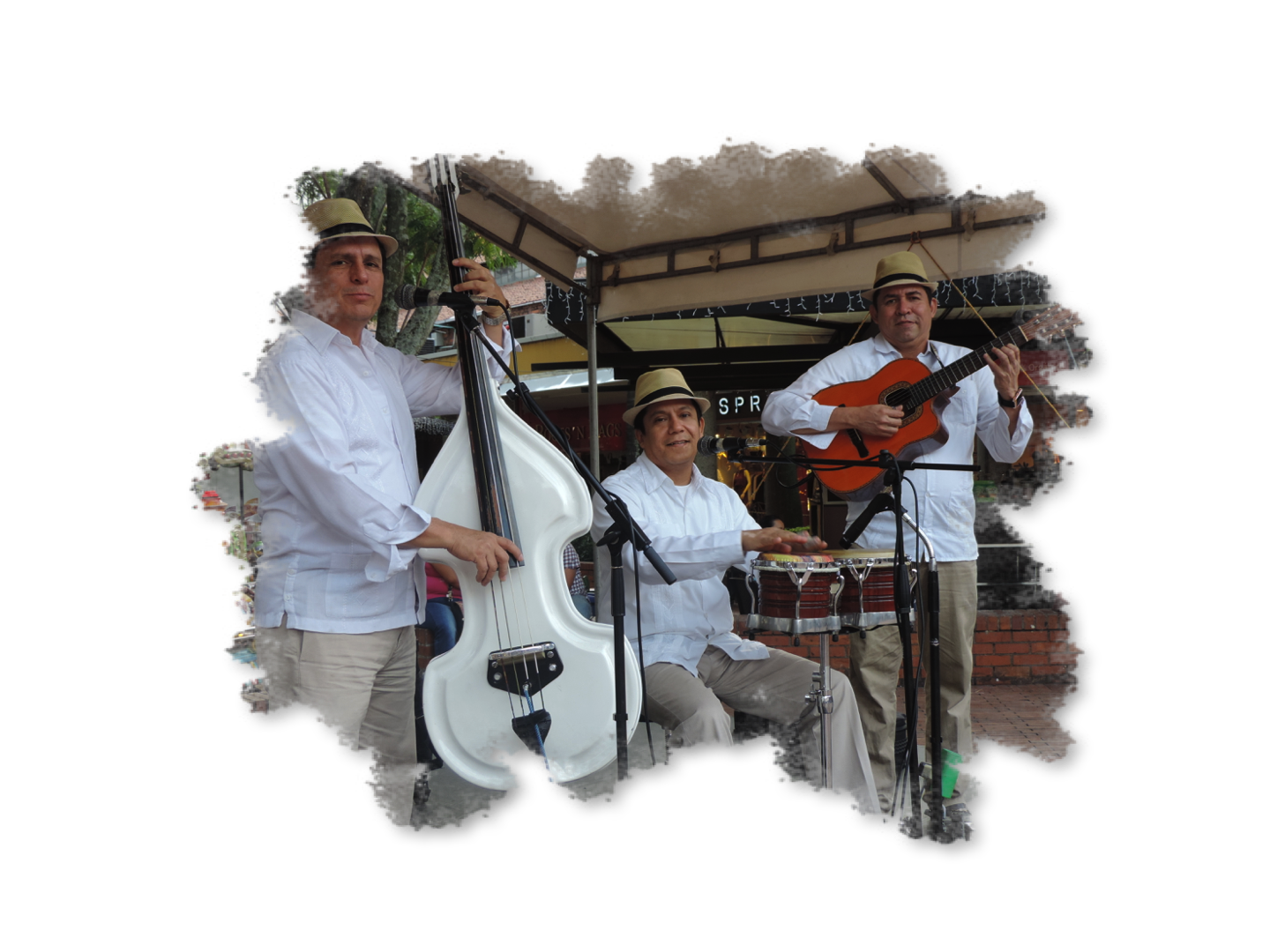 Grupos Musicales Cali: TRIOS