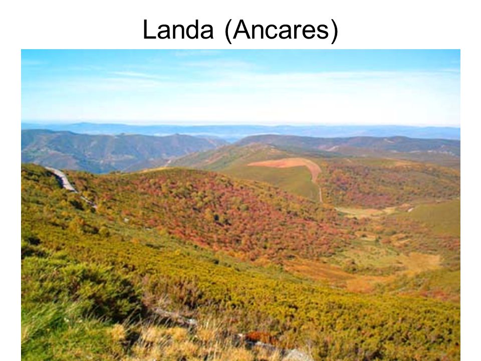 GEOGRAFÍA E HISTORIA. IES EL CARMEN: VOCABULARIO TEMA 6