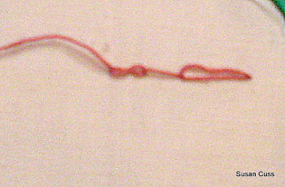 Suztats: Stitch Explorations: Figure 8 Cable Chain
