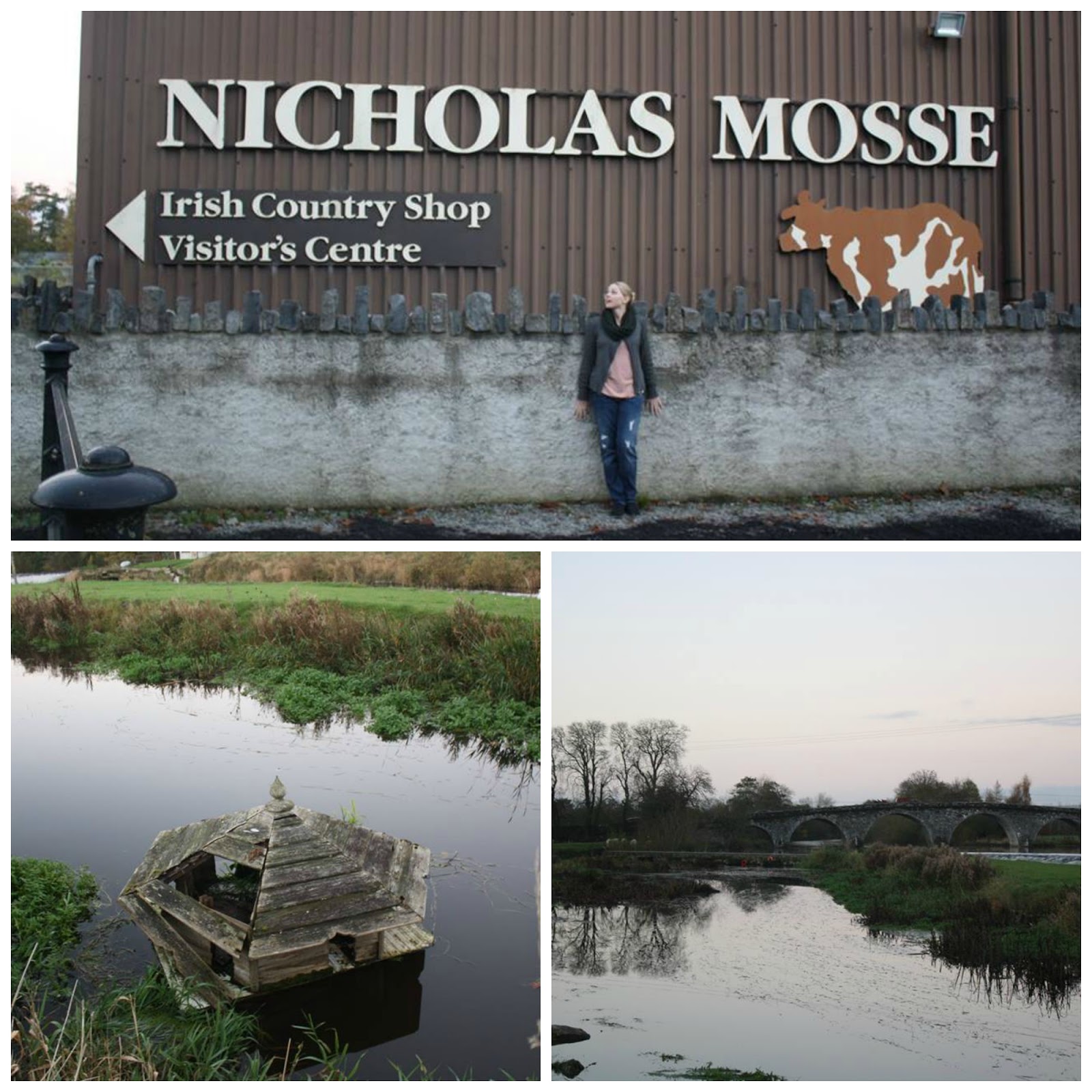 CAKE BUNNY: Nicholas Mosse