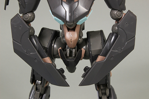 [ Review ] - Frame Arms 1/100 - Shadow Tiger