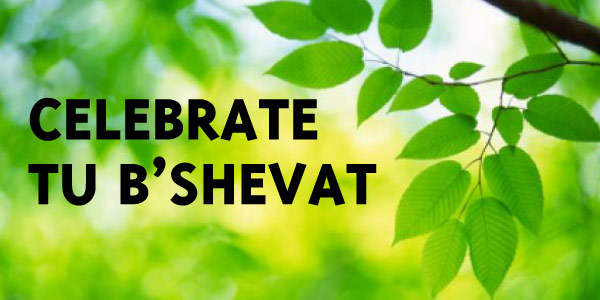 Valley Beth Israel: Tu B'Shevat - Celebrate the Trees Valley Beth Israel: Tu B'Shevat - Celebrate the Trees