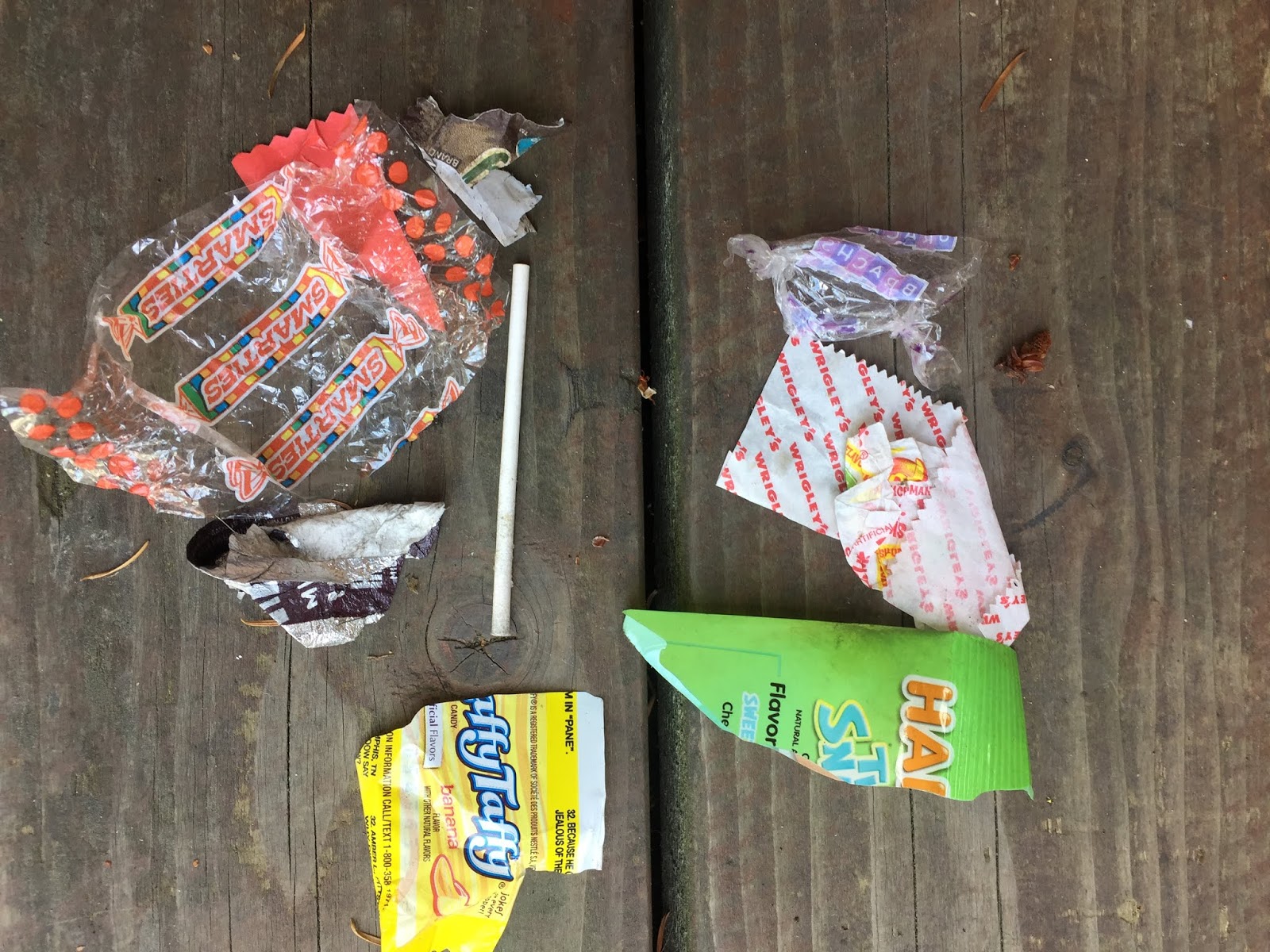 Come Plog With Me. (Yes, Litter Matters. A Lot.) - resilience