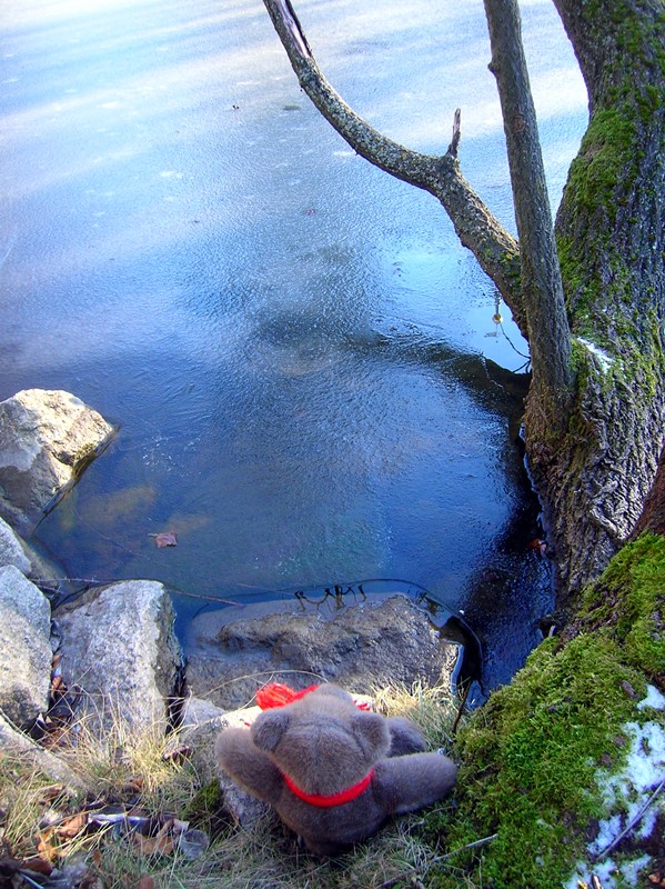 Maschas Buch: Lieber Marc Aurel, lieber Zebedäus