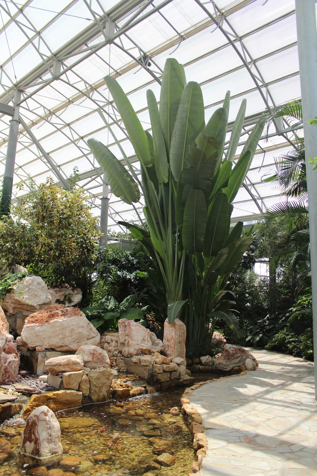 KuWAIT for it...: Bayan Botanical Garden