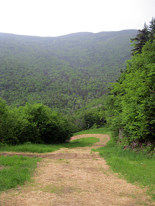 Hiking in the White Mountains: Racing the Weather: Carter Range and ...