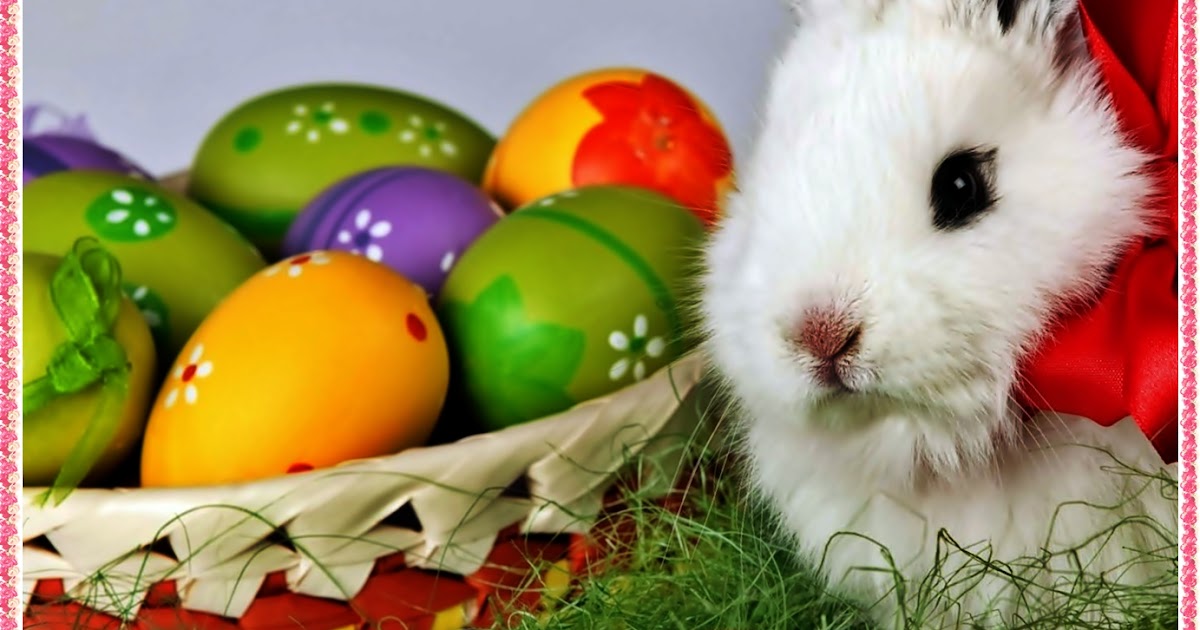 LEGENDA IEPURASULUI de Pasti. Poveste cu origini germanice.