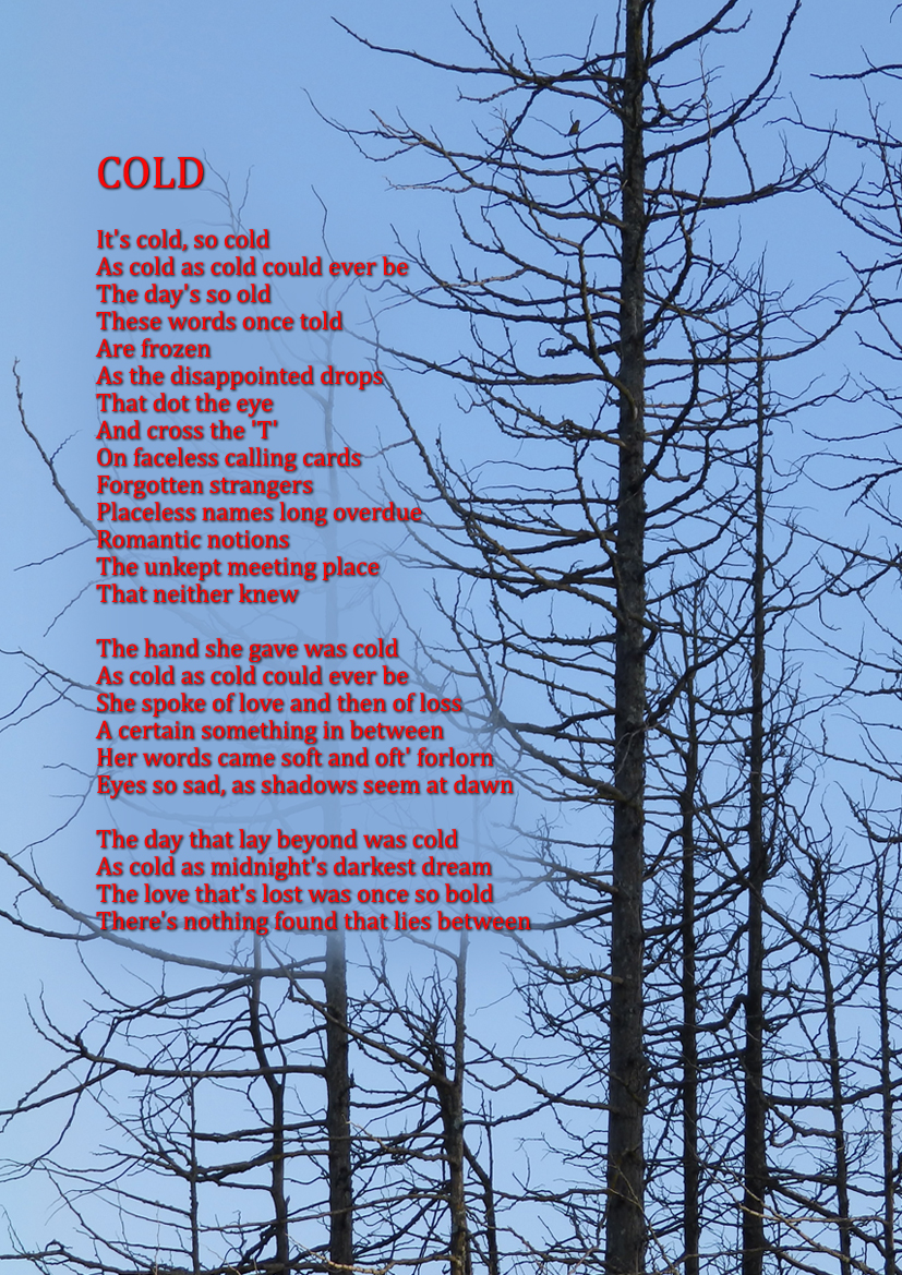 Michael Bowman Poetry: Cold