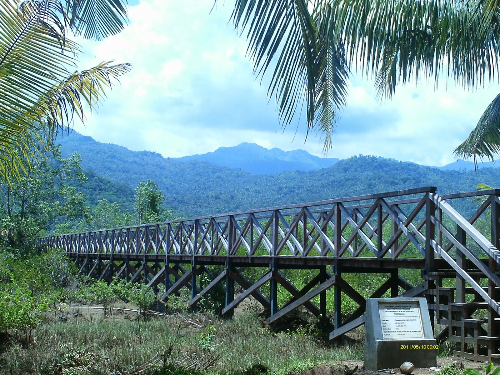 Selamatkan Bumi Kita: Ekowisata Mangrove Pancer Cengkrong, Trenggalek ...