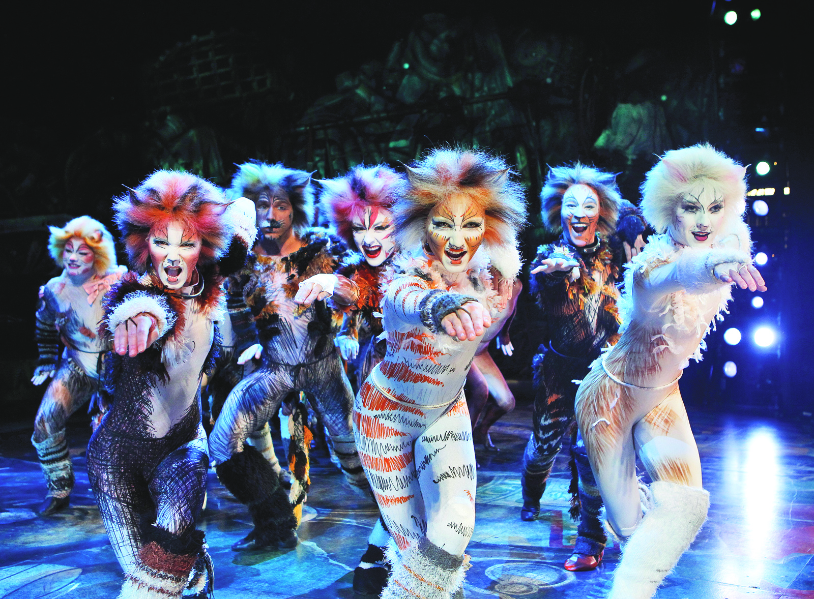 THE BLACK BIRD: Cats: el musical