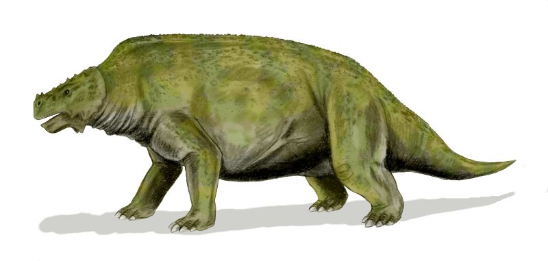Escenarios prehistóricos: Scutosaurus