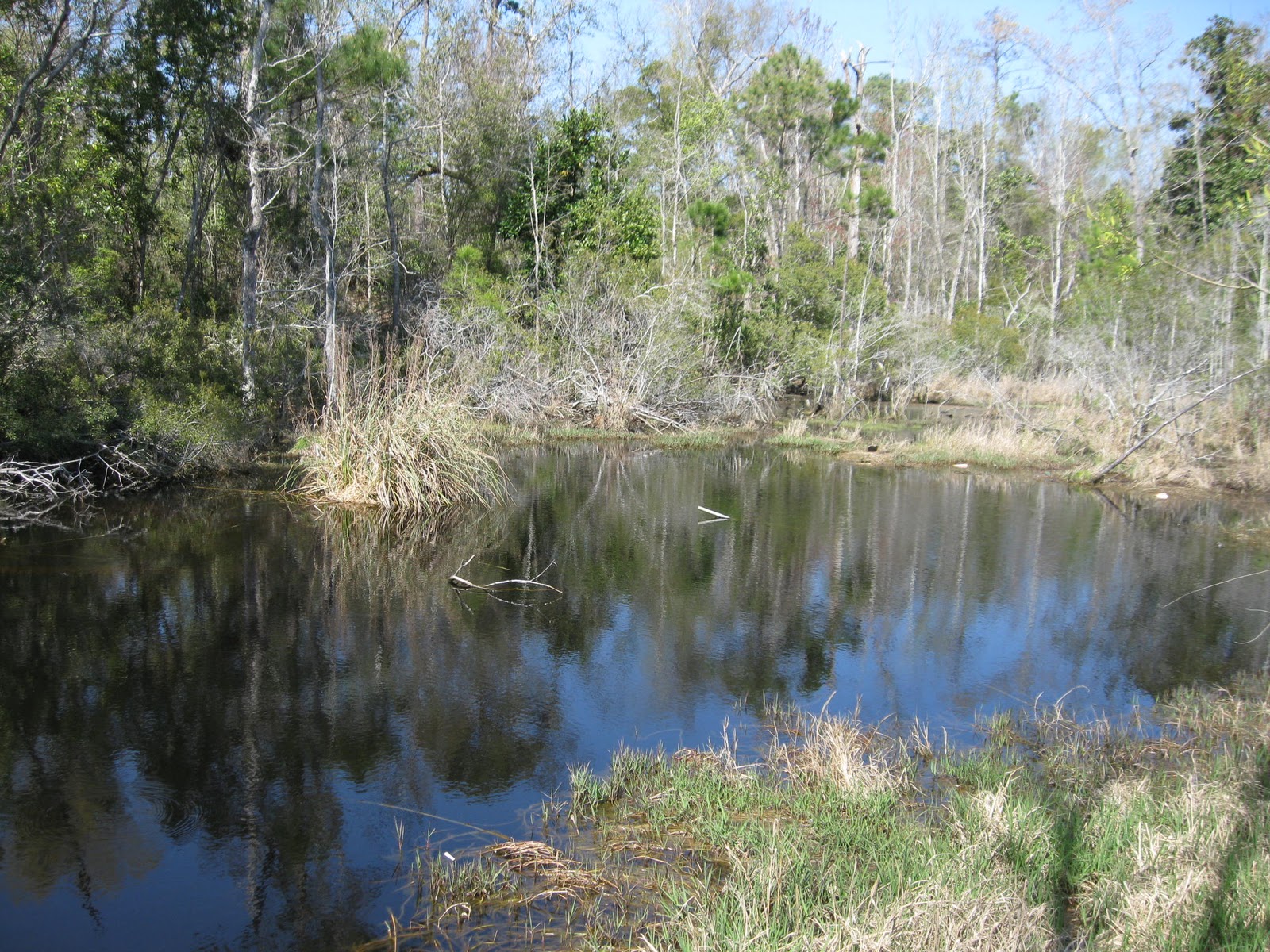 Cycling Affair: Was It Worth It?