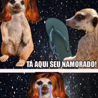 SURICATE SEBOSO, SUCESSO NO FACEBOOK 'MADE IN CEARÁ' CONHEÇA O SEU CRIADOR