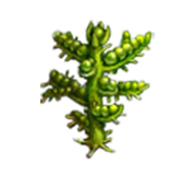 NanoFarms: CROPS - PREHISTORIC