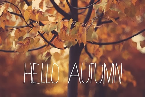 Moo's Musing: How I Feel About Autumn
