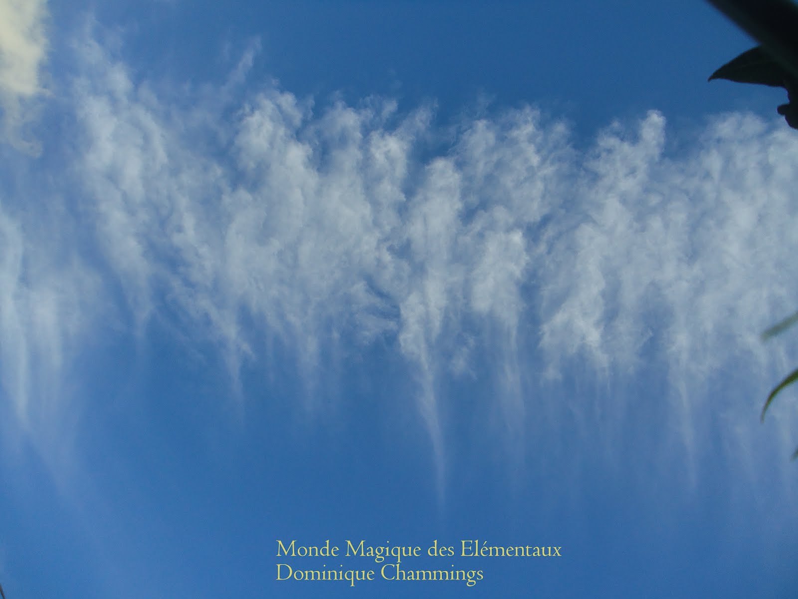 Monde Magique Des Elémentaux: Les Sylphes