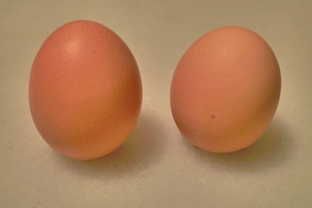 proyecto (im)par : dos huevos, dos