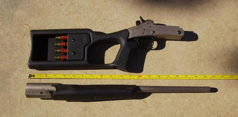 H&R Tamer .410 Shotgun - The Quick Take-Down for Stealth Mode | Self ...