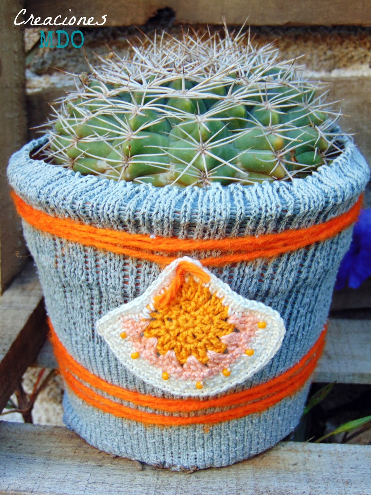 Mamá Orquesta: ¿Media maceta?...