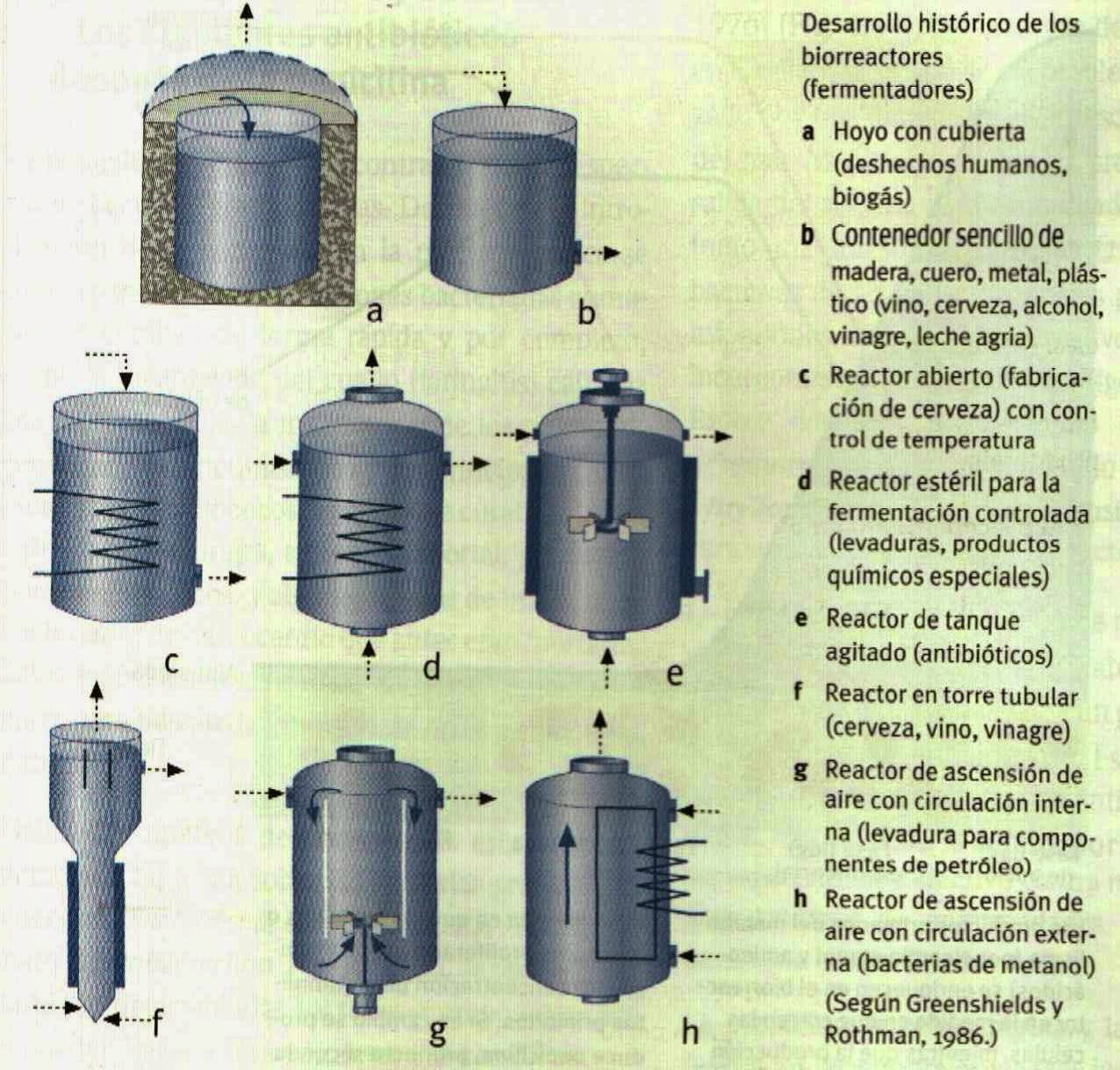Biorreactores | Apuntes de Biotecnología