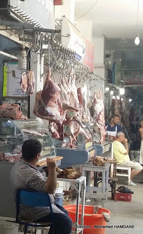 CULTURE et PATRIMOINE DE TUNISIE EN IMAGES- MOHAMED HAMDANE-ثقافة وتراث ...