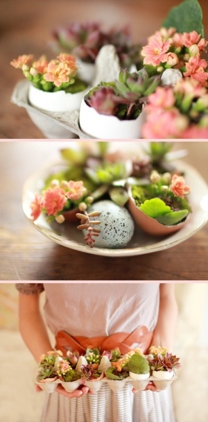 Egg DIY Projects
