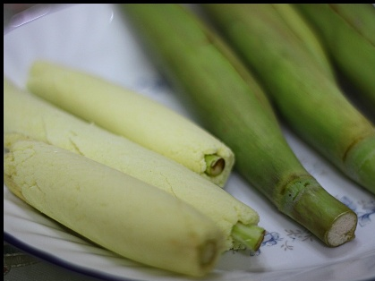 Herba & Tumbuhan: TEBU (saccharum officinarum) BUKAN SEKADAR AIR MANISAN
