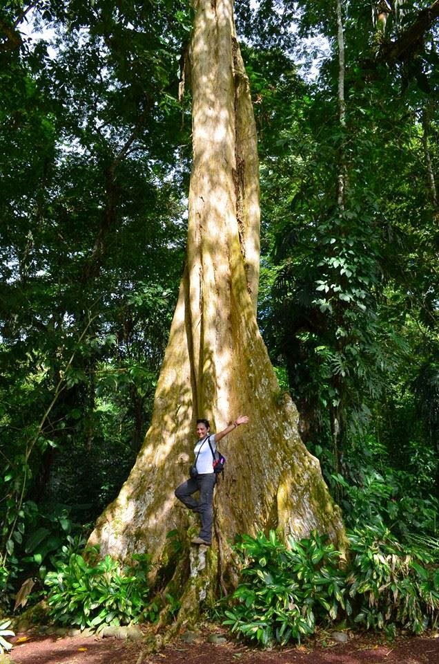 Atractivos Turísticos de Costa Rica: FINCA SURÁ, ORIGINAL Y FAMILIAR