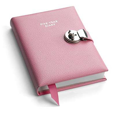 ini lah gambar gambar buku diary...