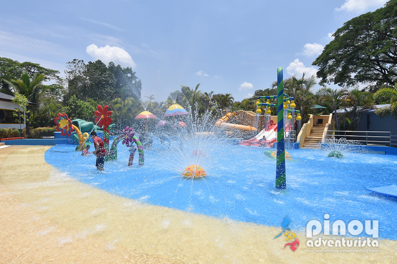 AQUA PLANET CLARK: Experience, Travel Guide, Ticket Prices, Tips and ...