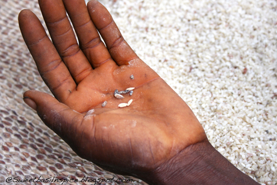 Sweet Basil 'n Spice: Basic Brown Rice and Rice Preparation in Liberia