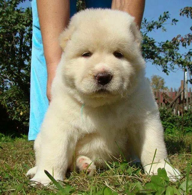 Georgian Holidays - tours, travel and visit Georgia: More pictures of ...