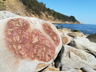 MineralesDB: abril 2019