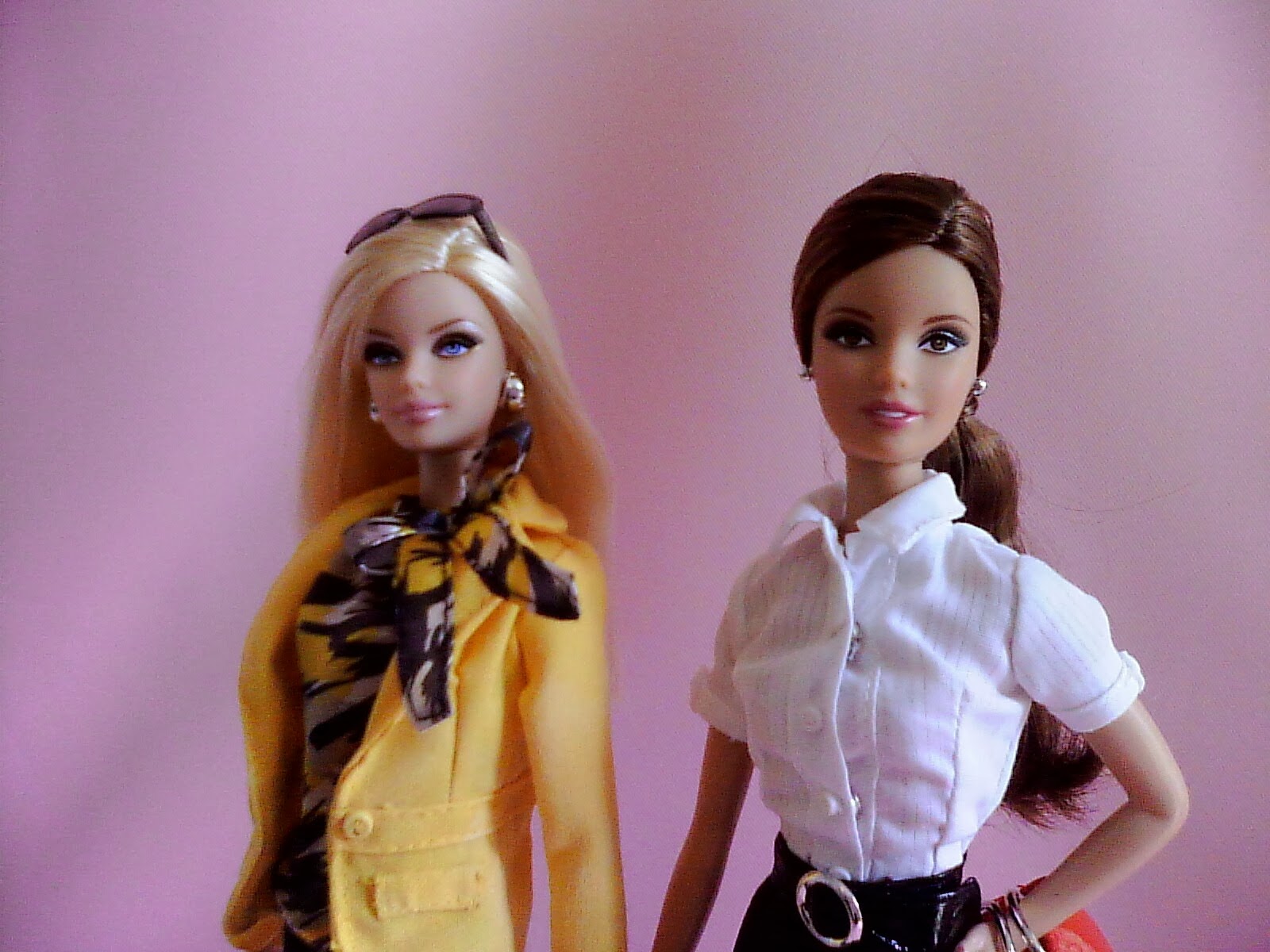 Teporingo Rojo: TIM GUNN COLLECTION FOR BARBIE