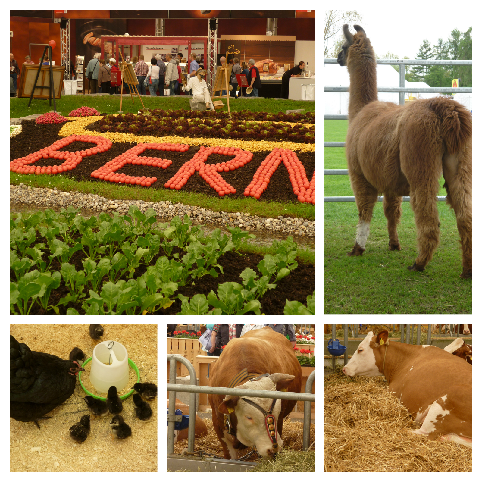 Life is a Journey: BEA 2013