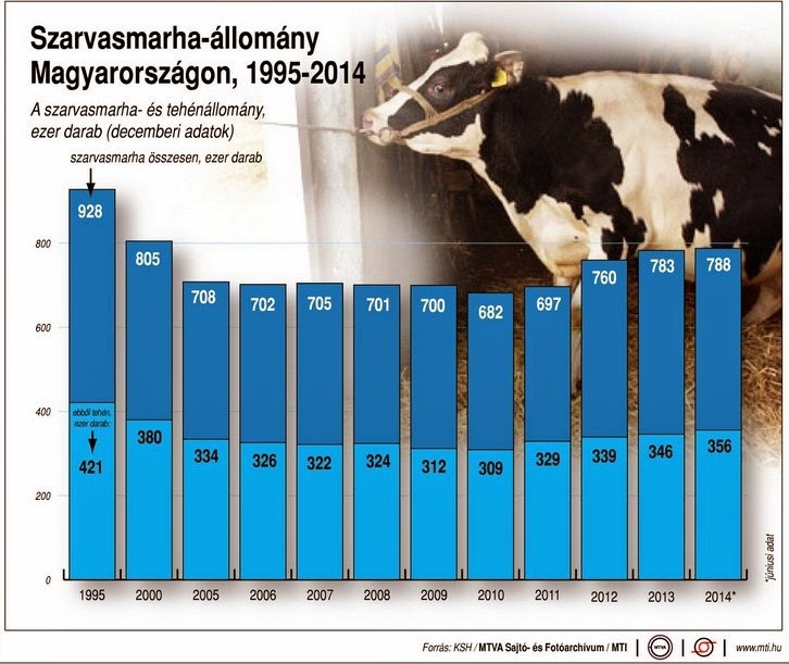 Gazda Praktikum: A szarvasmarha-állomány alakulása