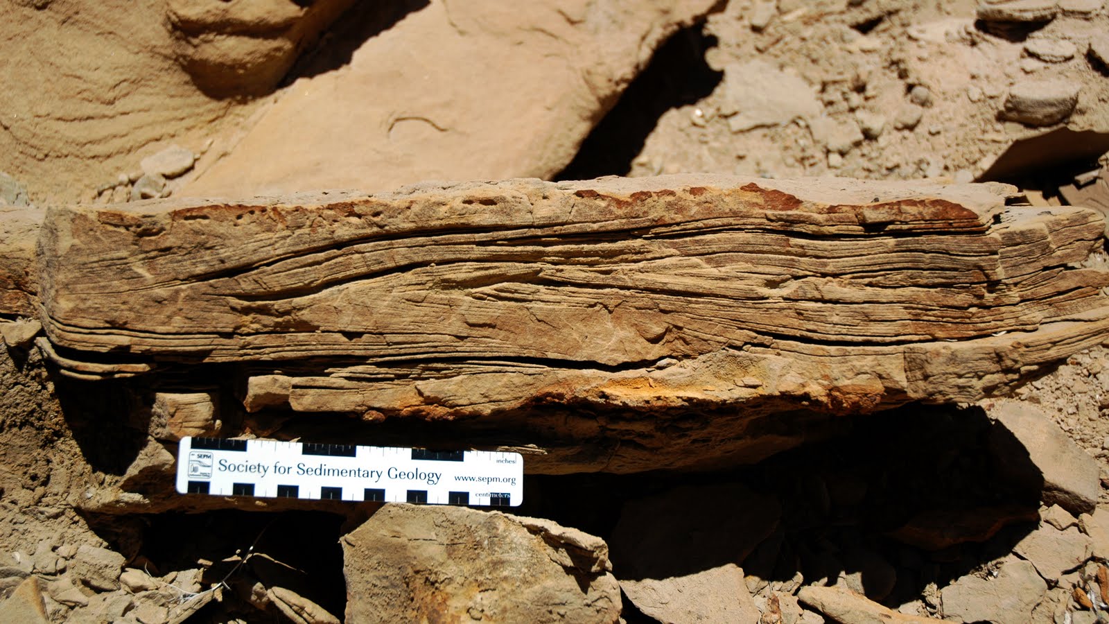 Sedimentary Structures and Bedforms