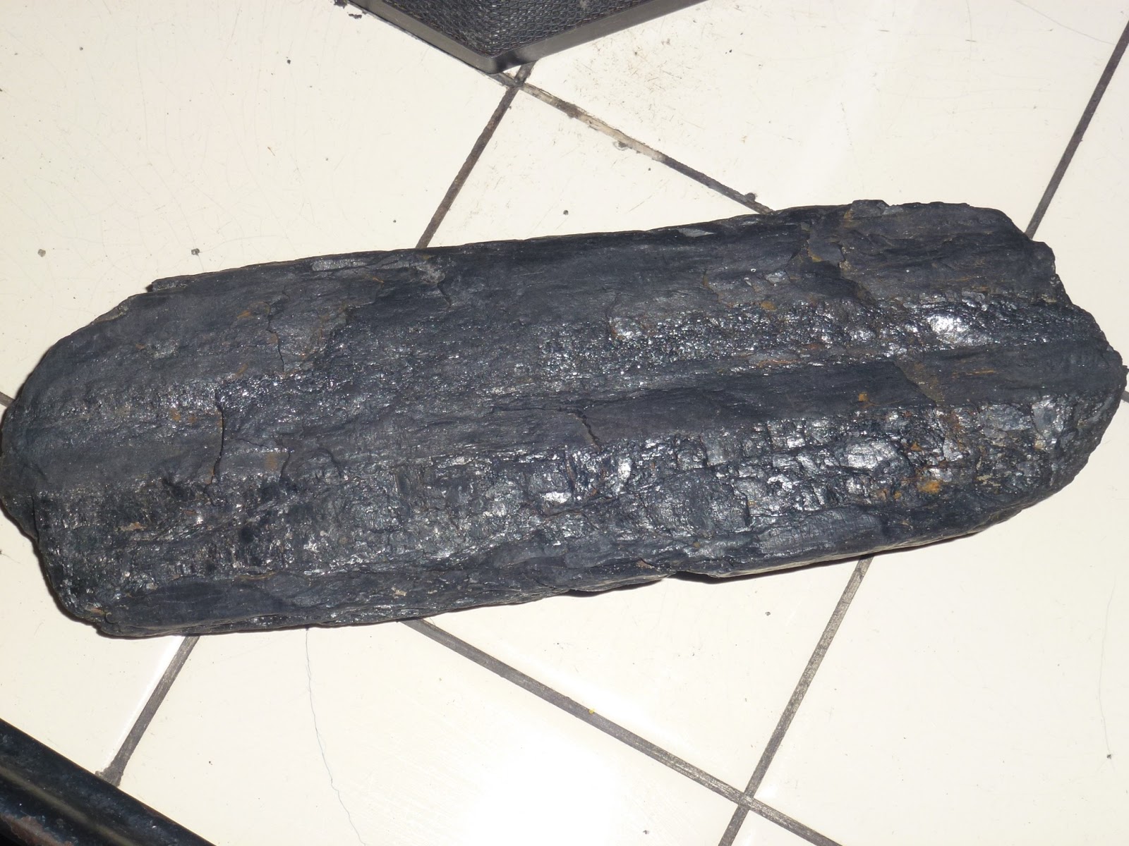 Within the Walled Garden: Some Well Travelled Sea Coal