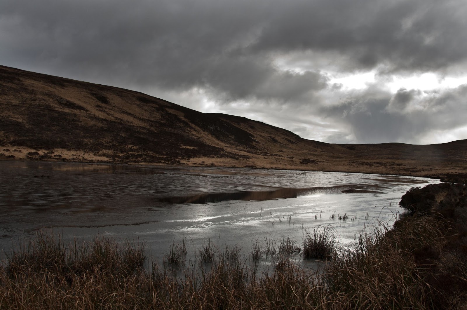Islay Natural History Trust: Corra-ghoirtein and Coille Mhòr