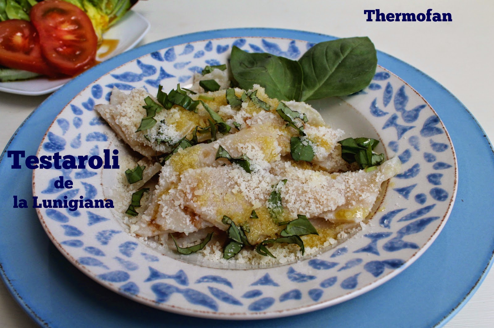 Testaroli de la Lunigiana — Thermofan