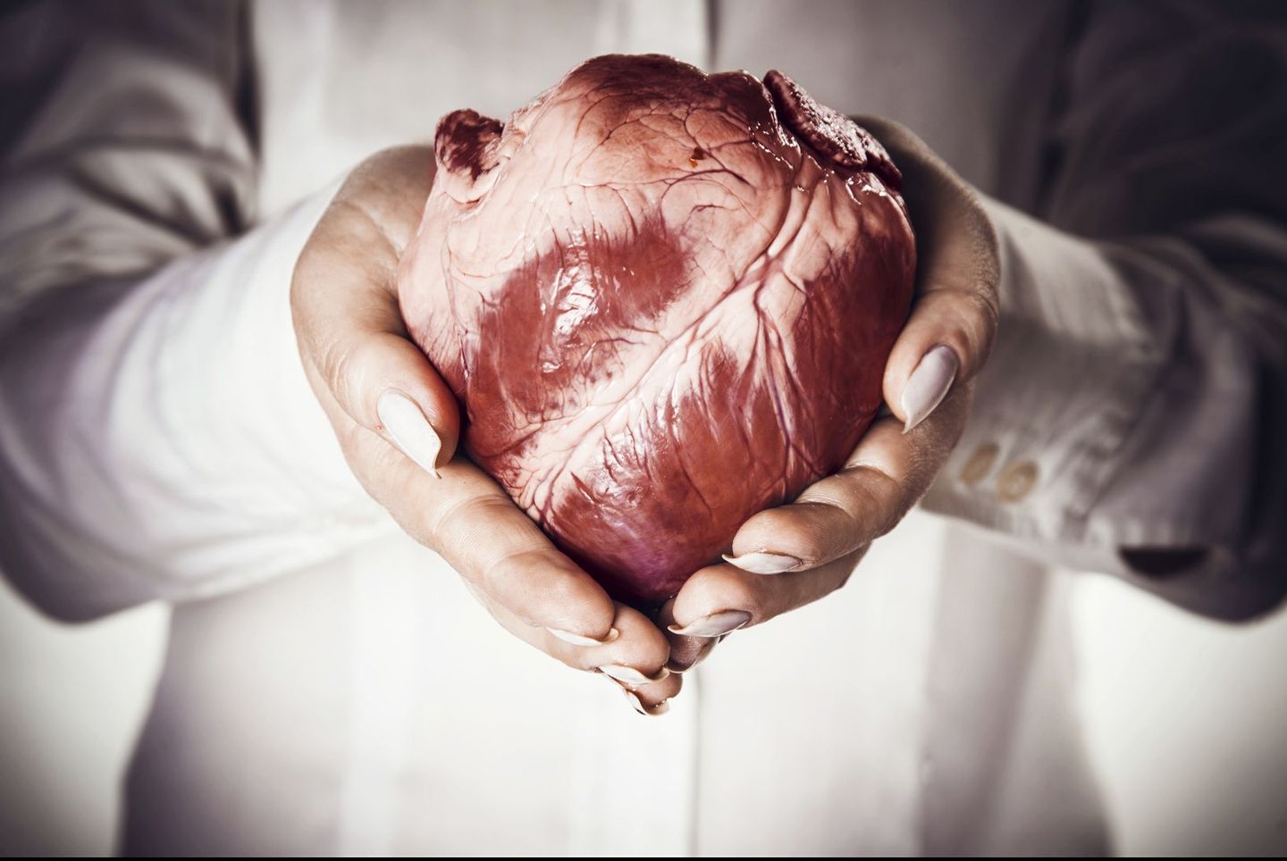 Could 3D Printed Organs Be Medicine Next Grisly Black Market Dream Health Could 3D Printed Organs Be Medicine Next Grisly Black Market Dream Health