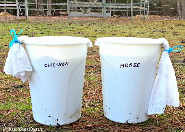 How To Brew Chicken Manure "Tea" for your Garden - Fresh Eggs Daily ...
