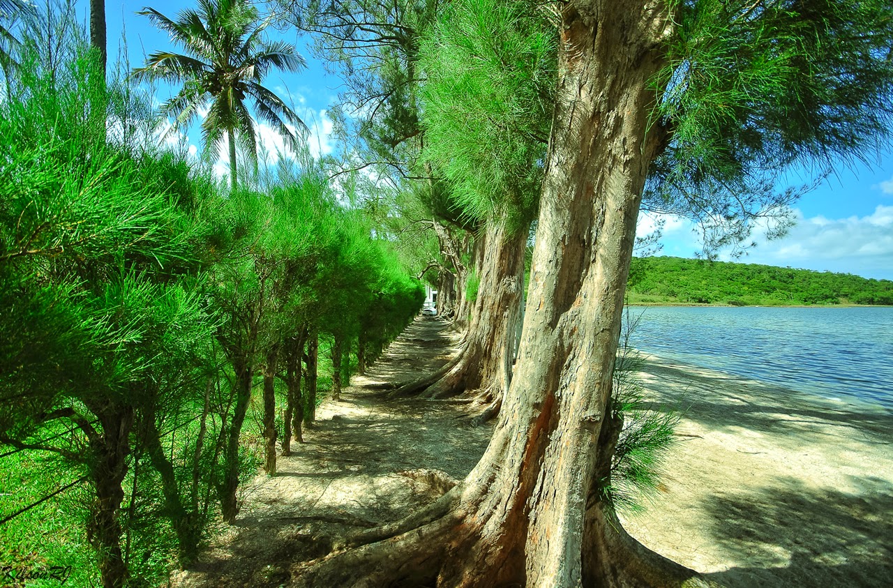 Iguabinha-Araruama-RJ-Paisagem - K2_Natureza