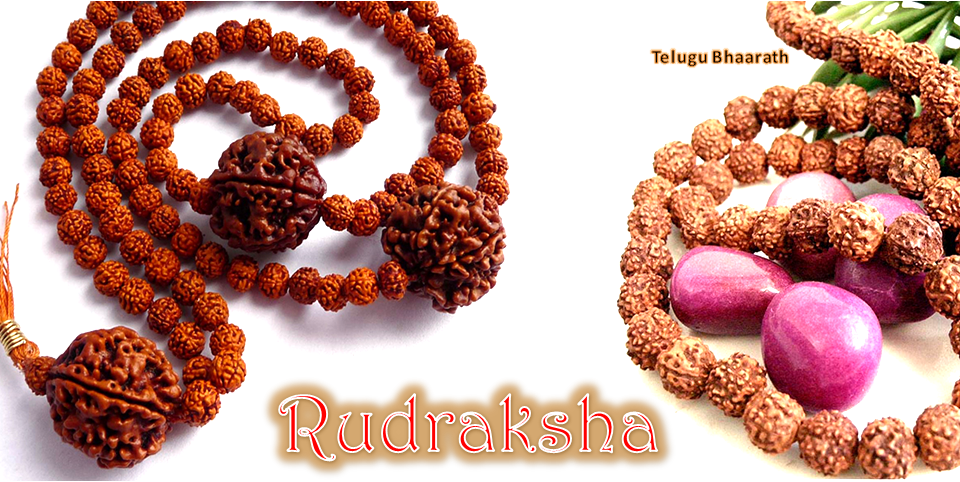 How to know about Genuine Rudraksha Beads